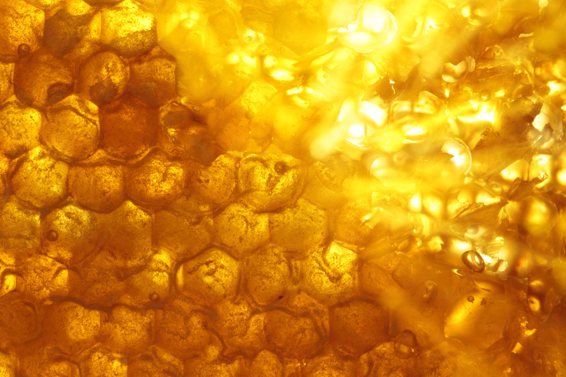 Cire d'abeille dans les produits Laino