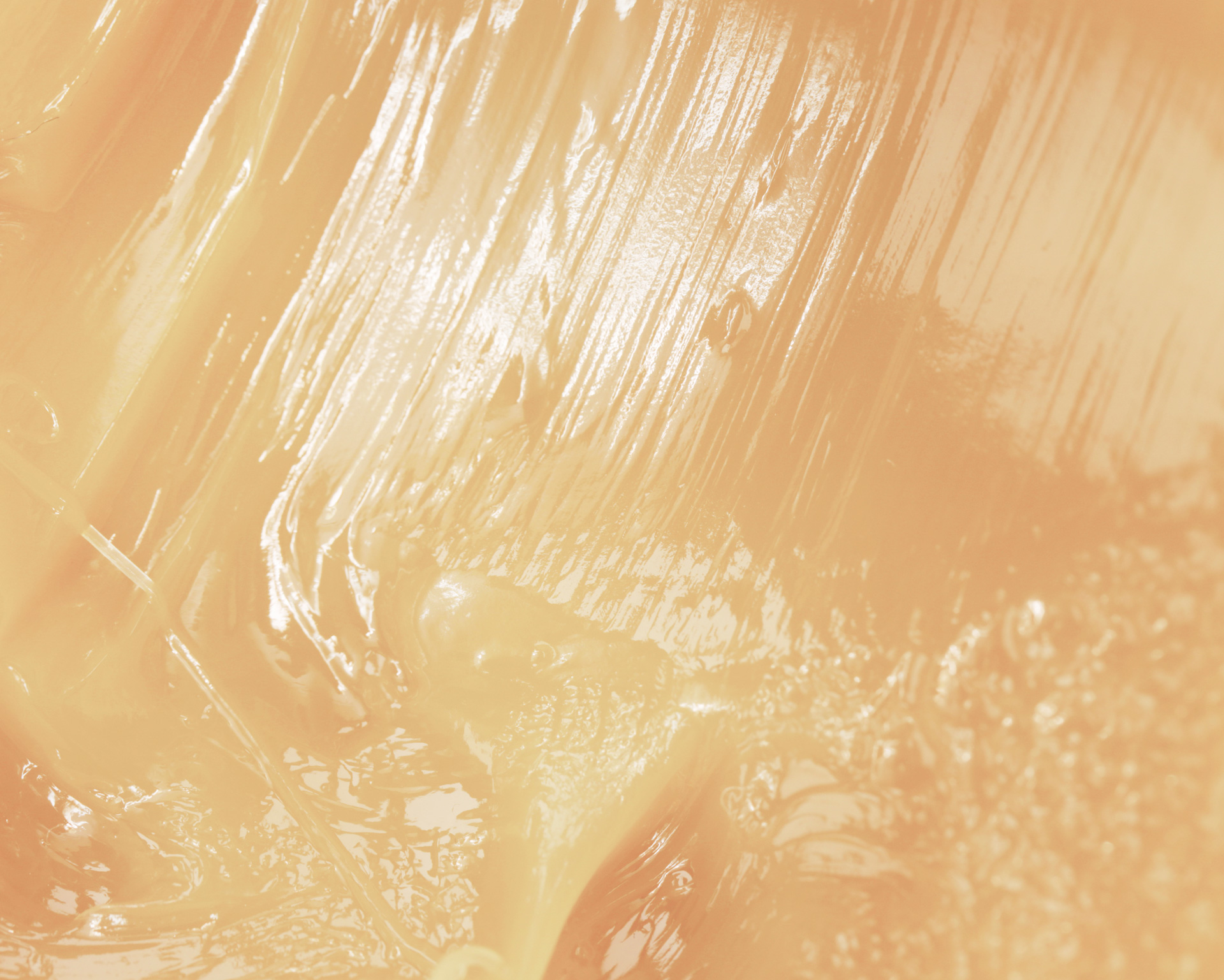 Lanoline végétale dans les produits Laino